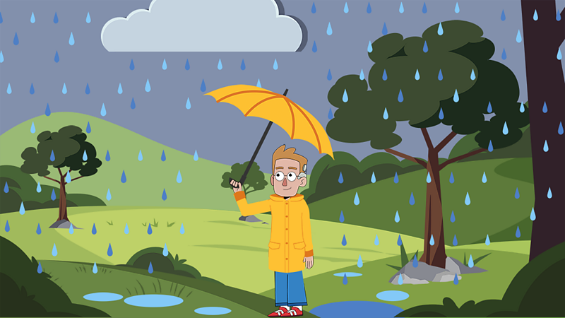 Plants - KS2 Science - BBC Bitesize