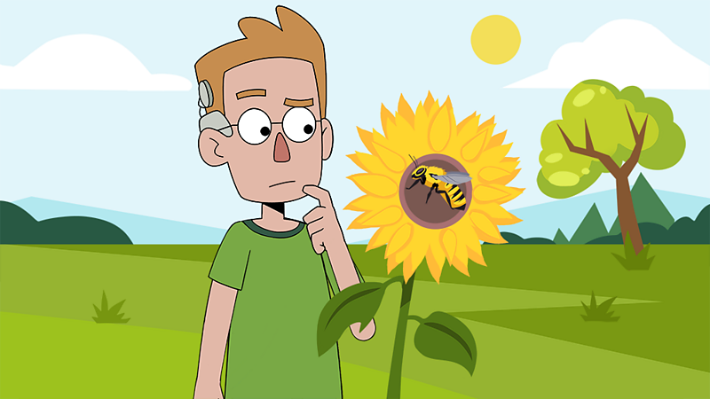 Pollination and seed spreading – KS2 Science curriculum - BBC Bitesize