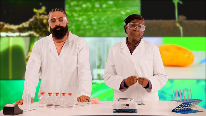 Key concepts in Biology - GCSE Combined Science - BBC Bitesize