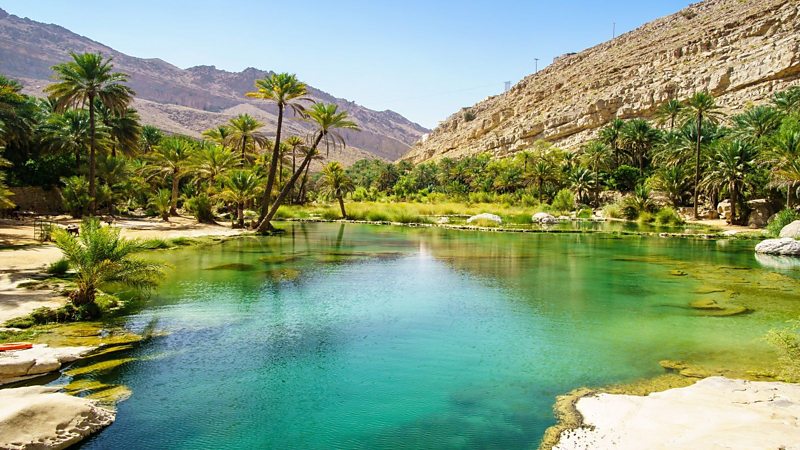 What is an oasis? Five outstanding examples of oases from around the ...