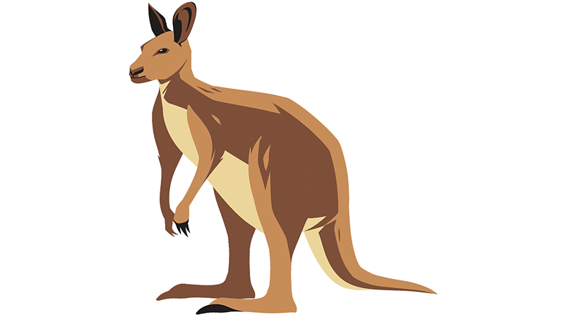 How do animals grow? - KS1 Science curriculum - BBC Bitesize