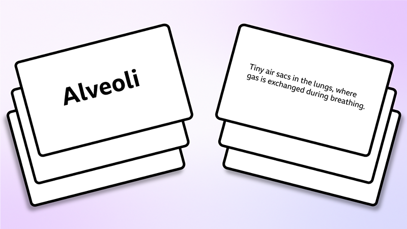 GCSE Biology flashcards - organisation - BBC Bitesize