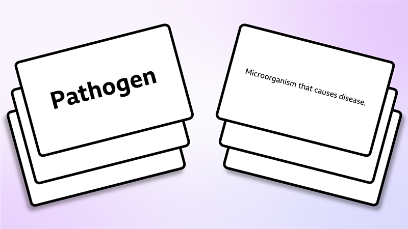 GCSE Biology flashcards - Infection and response - BBC Bitesize