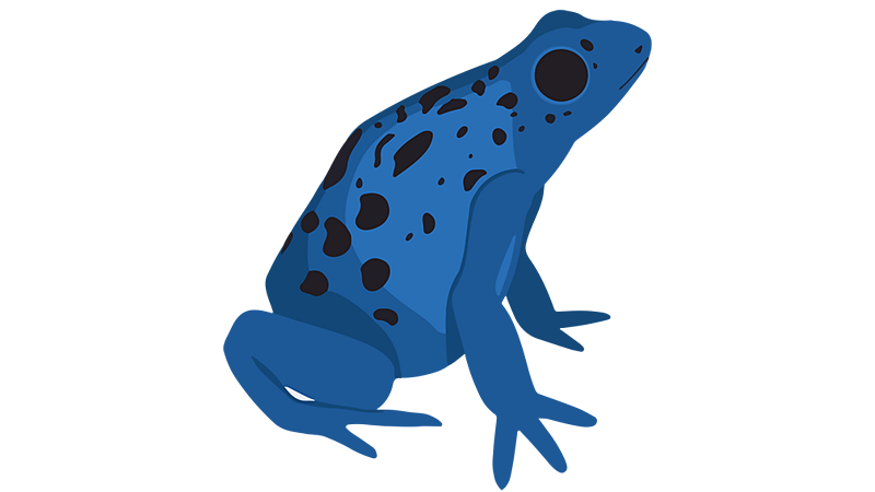 What are classification keys? – KS2 Science curriculum - BBC Bitesize