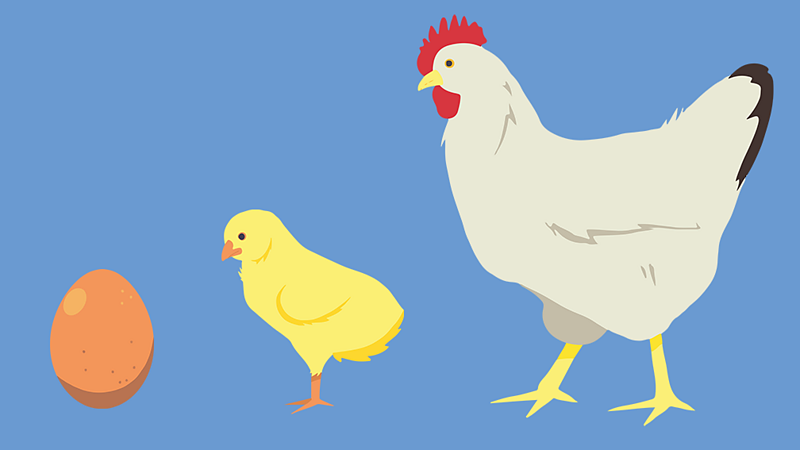 Living things and their habitats - KS2 Science - BBC Bitesize