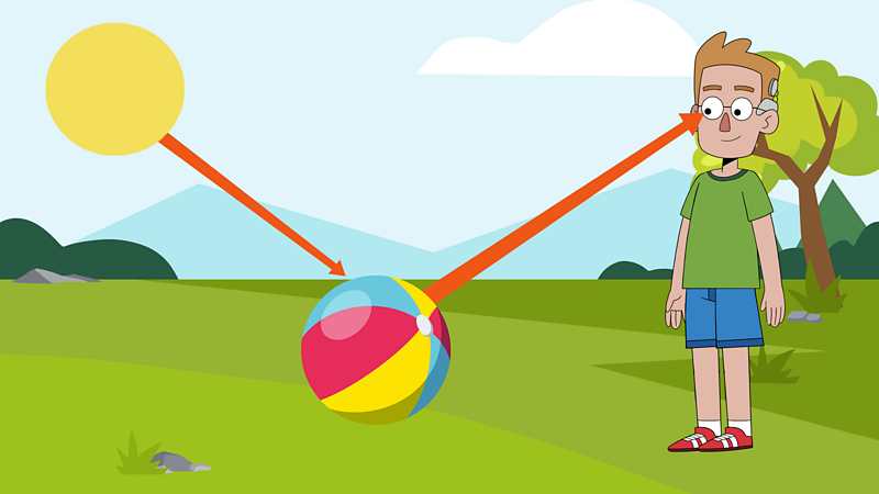 How does the eye detect light? – KS2 Science curriculum - BBC Bitesize