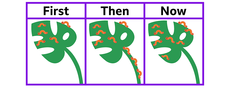 First, then, now (addition) - KS1 Maths - Learning with BBC Bitesize