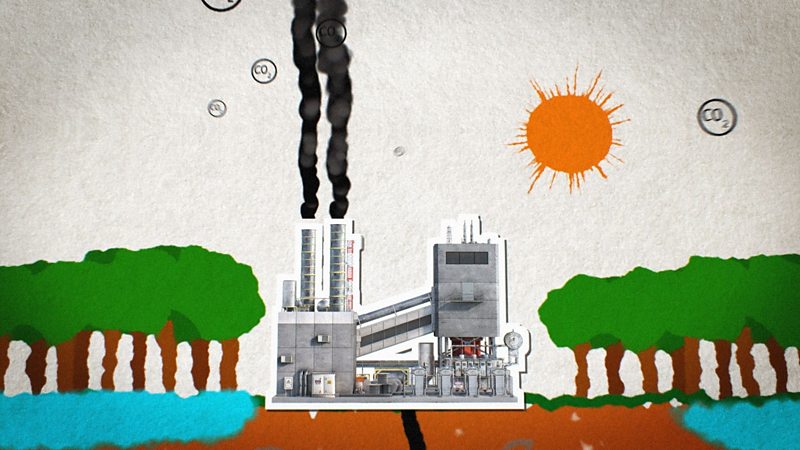 Biodiversity - GCSE Biology (Single Science) - BBC Bitesize