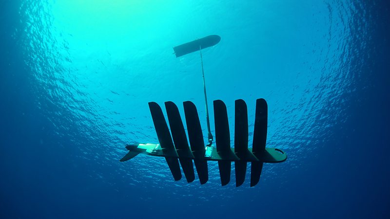 The robots helping to tackle environmental issues - BBC Bitesize