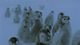 BBC One - Snow Babies