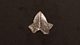 BBC Four - MAKE! Craft Britain - How to Make a Silver Leaf Pendant