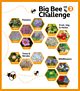 BBC Radio 2 - Radio 2's Big Bee Challenge - Designing your bee-friendly ...