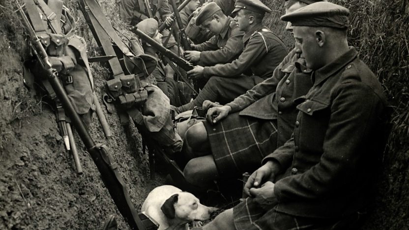 World War 1 Trenches Rats