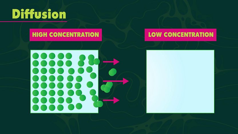 Diffusion Diagram Worksheet GCSE 9 1 Diffusion Worksheet | Teaching