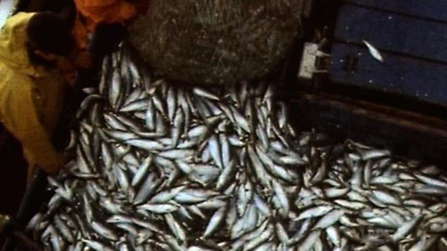 BBC Two - Primary Geography, World Environmental Changes, World ...