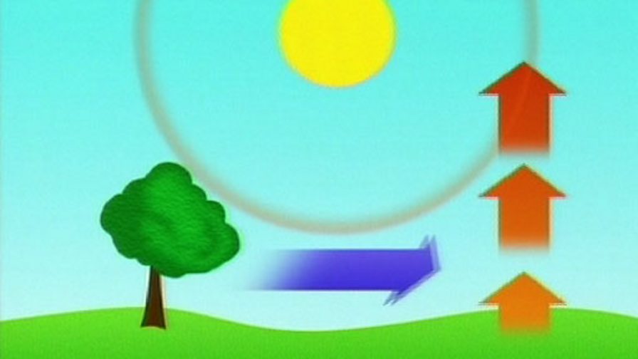 BBC Two - Primary Geography, Weather, Wind, Measuring wind speed using ...