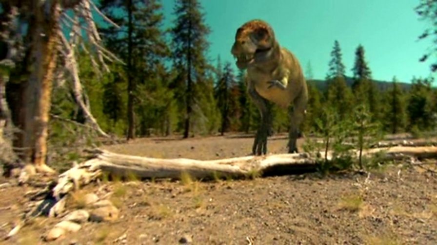 BBC Two - Science Clips Investigates, Sound and Hearing, How dinosaur ...