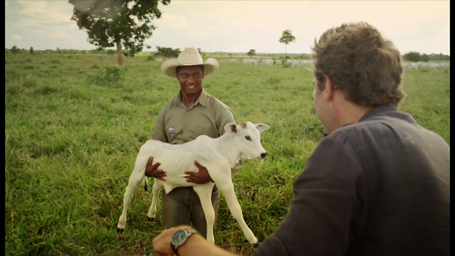 BBC One - Supersized Earth