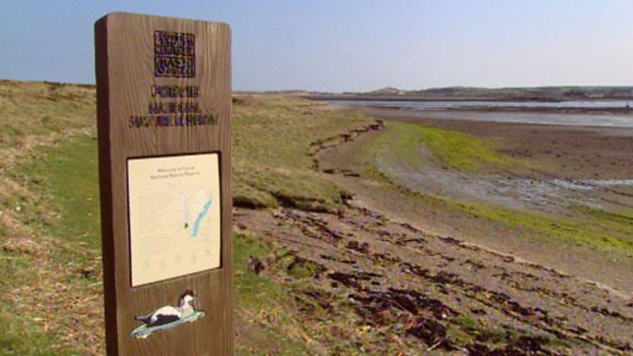 BBC Two - Intermediate/Higher Geography, Physical Features: Coastal ...