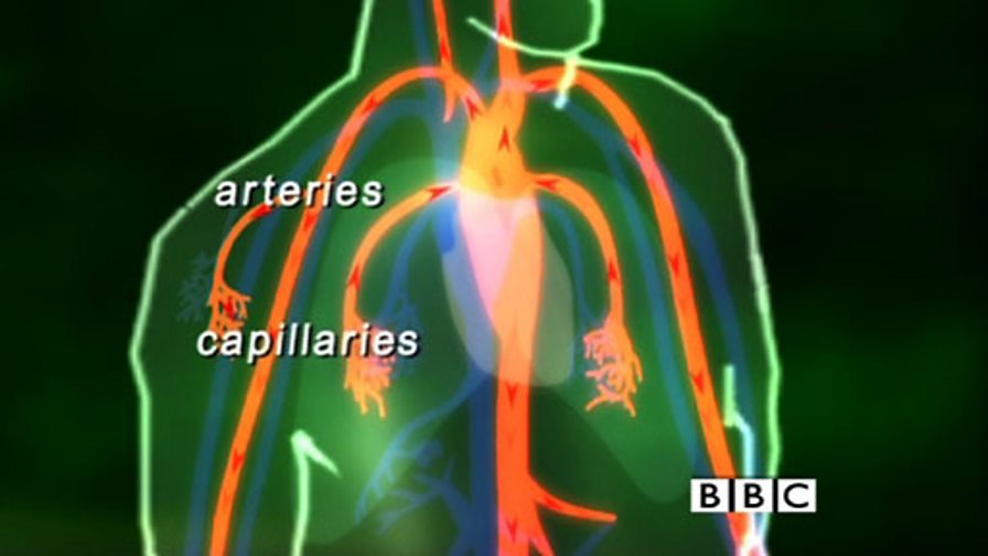 CBBC - KS3 Curriculum Bites