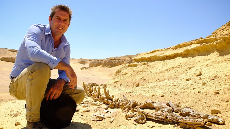 BBC Two - Rise of the Continents