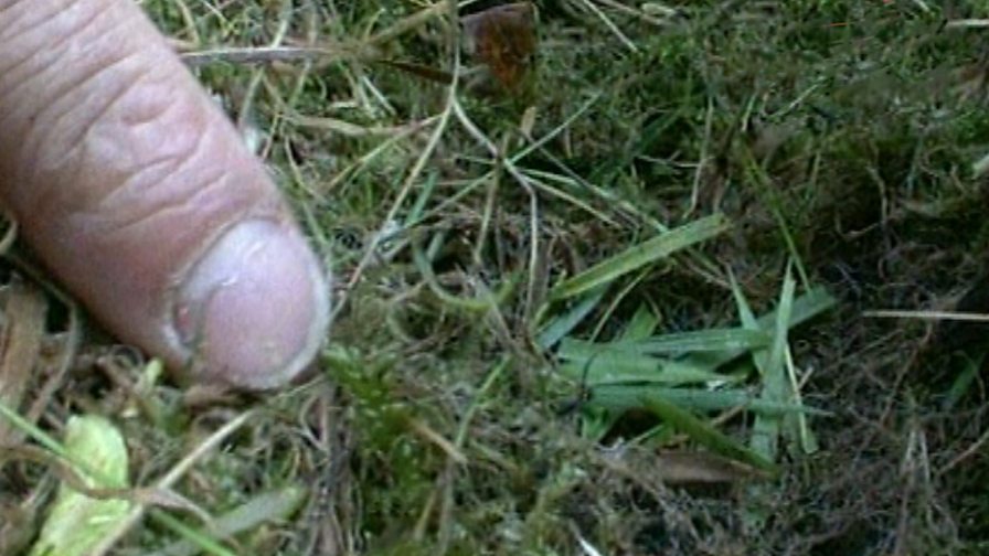 BBC Two - Key Stage Three Bitesize Revision, 28/03/2001, Ciliated ...