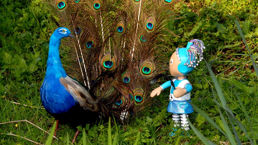 CBeebies - Schedules, Wednesday 21 September 2011