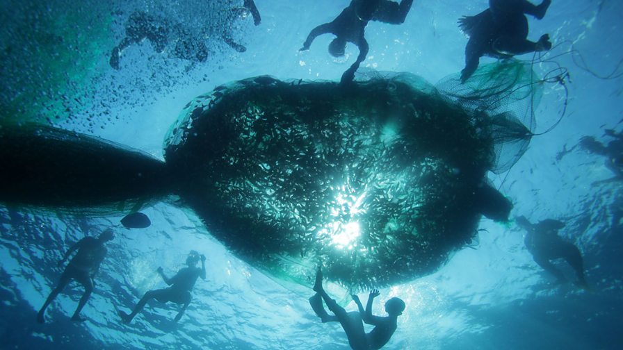 BBC One - Human Planet - Episode guide