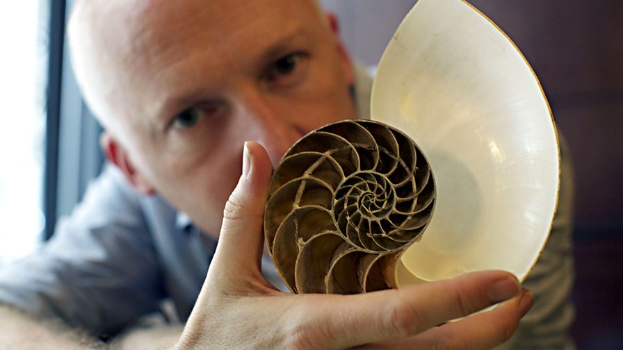 Bbc Two The Code Episode Guide