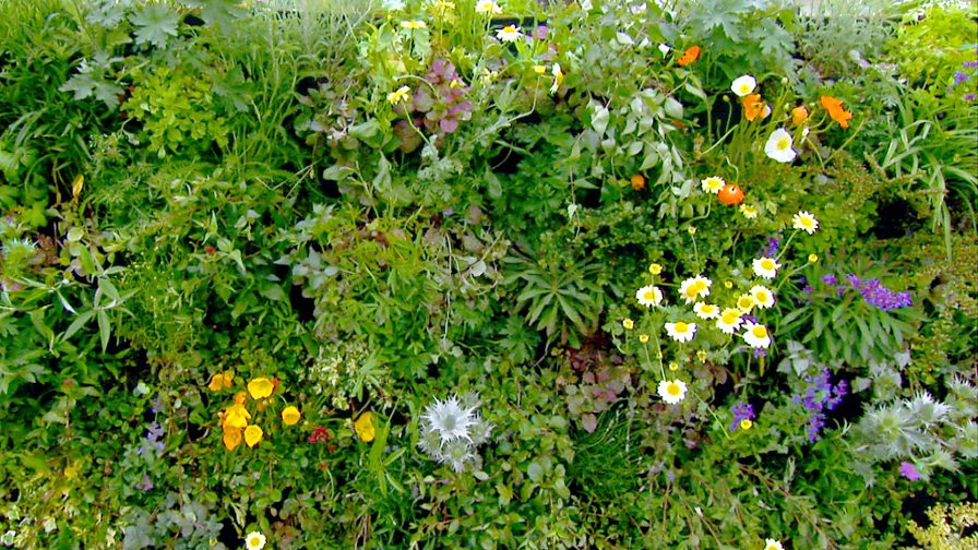 BBC Two - Gardeners' World, 2012, Episode 13, Gardening with Wildlife ...