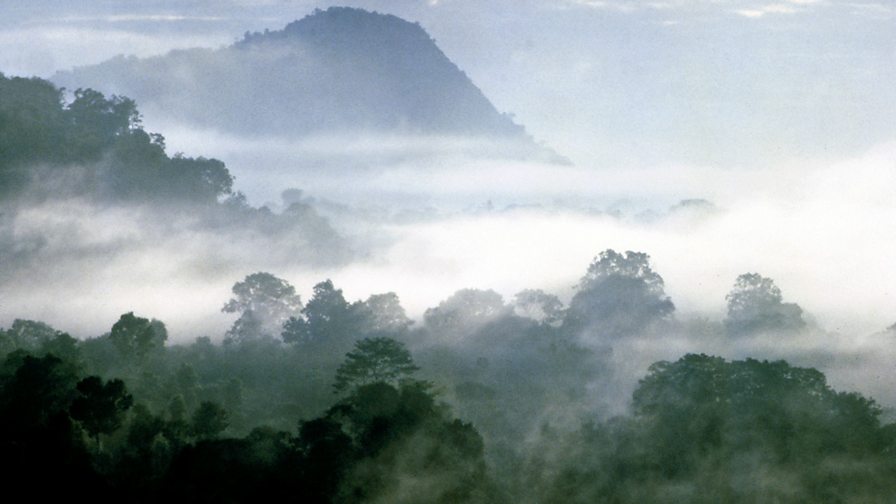 BBC Two - The Living Planet - Episode guide