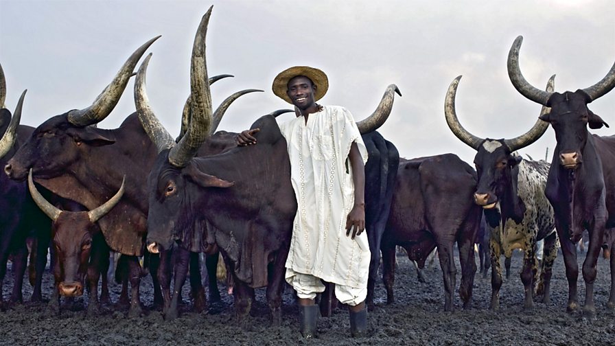 BBC Two - Welcome to Lagos