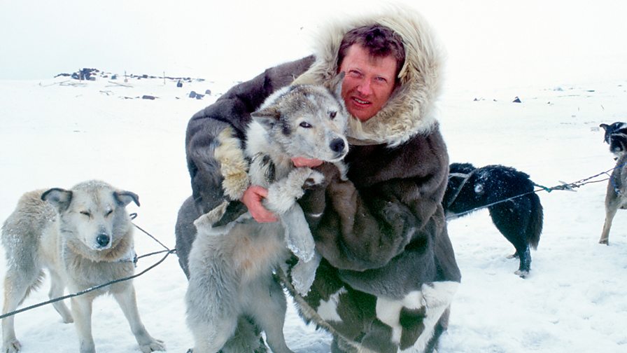 BBC Two - Ice Dogs