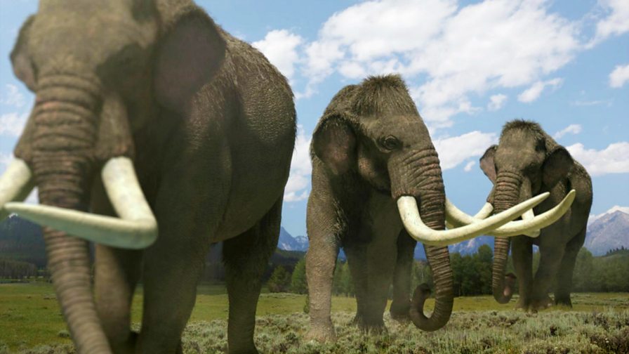 BBC Two - Ice Age Giants, In pictures: The ice age giants - American ...