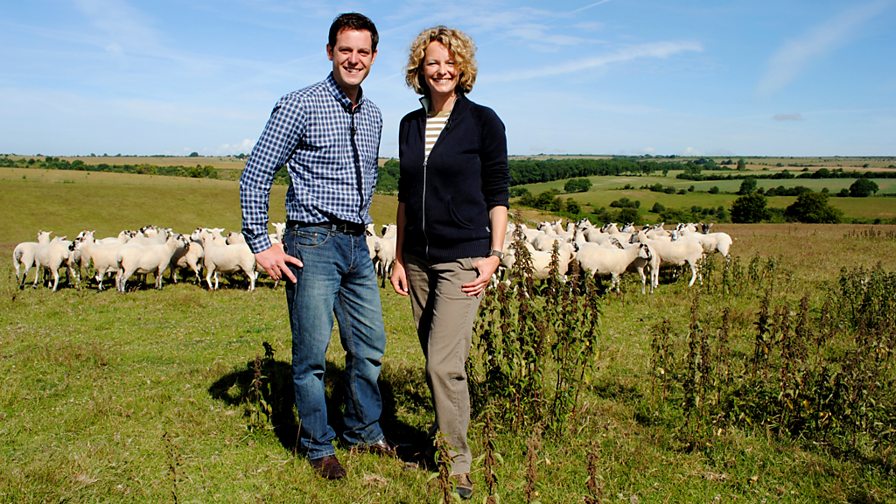 BBC Two - One Man and His Dog - Episode guide