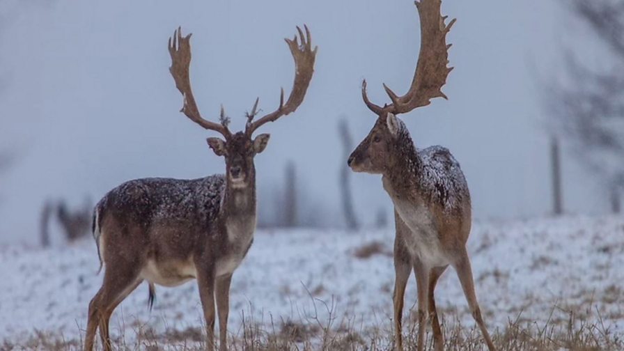 BBC One - South Today, 03/01/2014, BBC South Today Weather Pictures