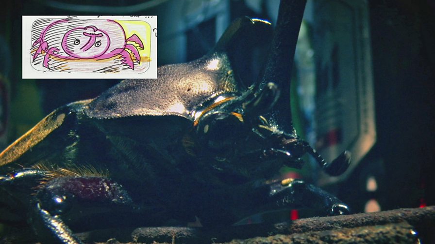 BBC One - Hidden Kingdoms