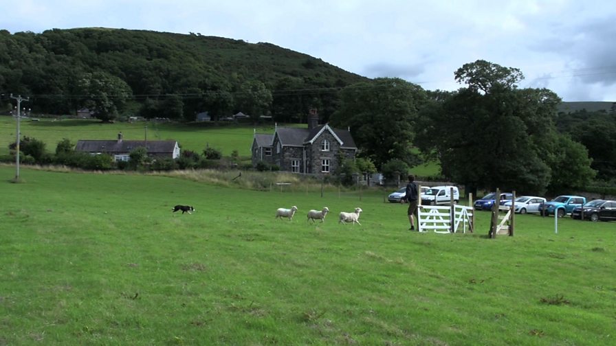 BBC One - The Hill Farm