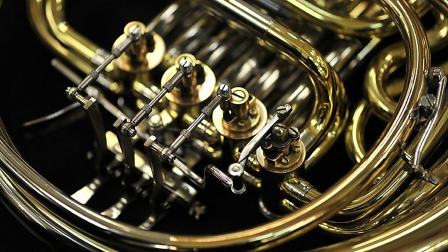 BBC - Discovering Brahms