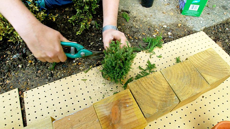 BBC Two - Big Dreams Small Spaces, Series 1