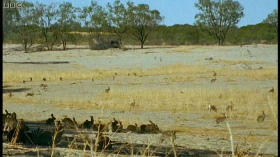 BBC One - State of the Planet, IS THERE A CRISIS?, Bacterial world