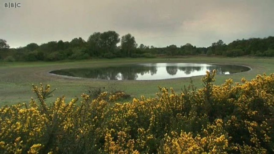 BBC Two - Nature's Calendar, Series 1, Spring: Moorland and Heaths ...