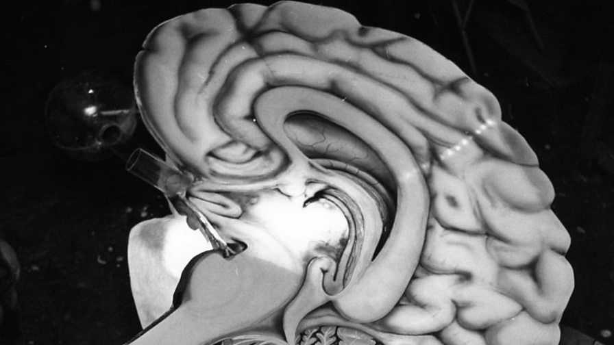 BBC Two - The Story of Science: Power, Proof and Passion