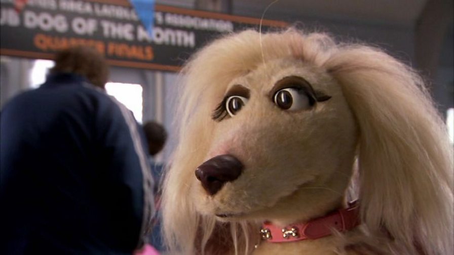 BBC Three - Mongrels, Series 1, Episode 6, Dogshow
