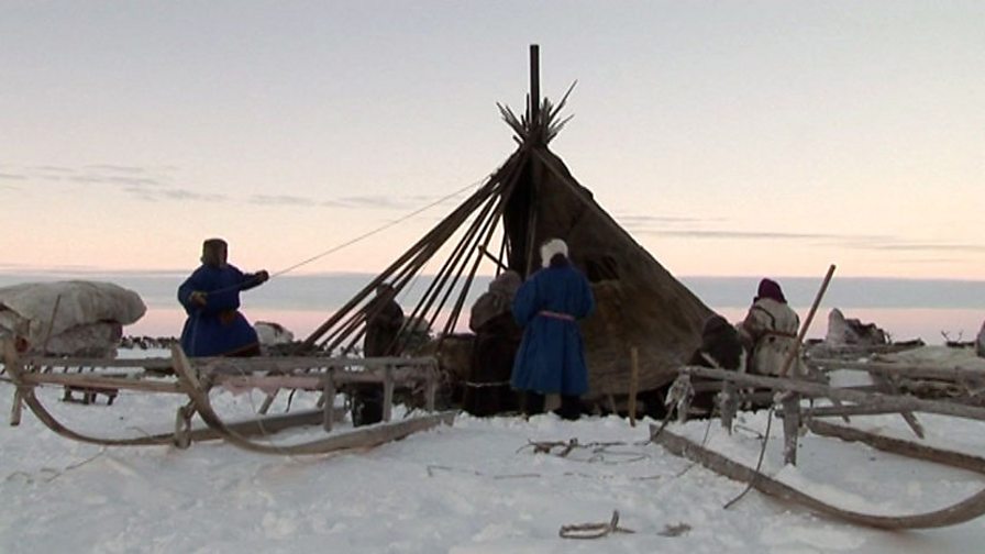 BBC Two - Tribe (2005), Series 3, Nenets, Herding reindeer