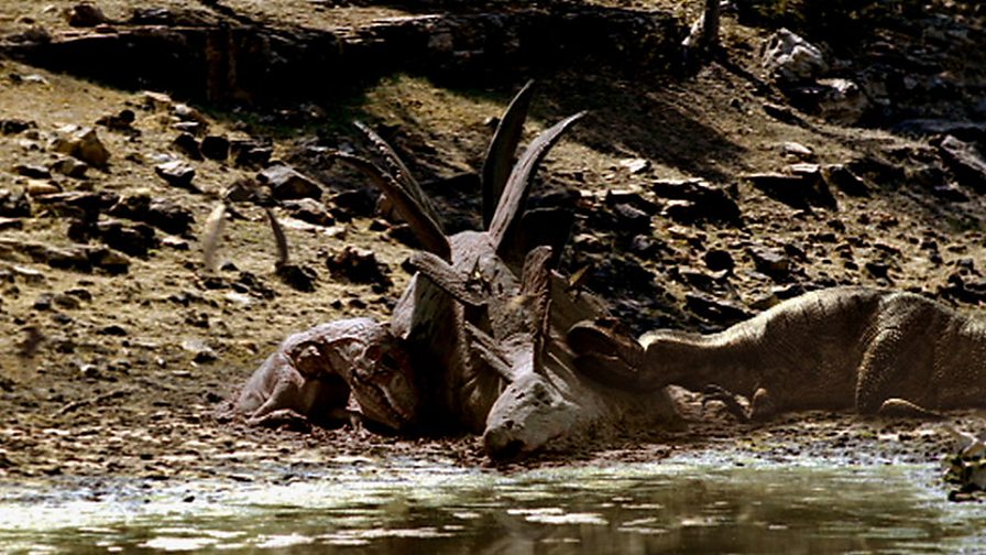 BBC One - Walking with Dinosaurs (1999), Big Al, Big Al Uncovered ...