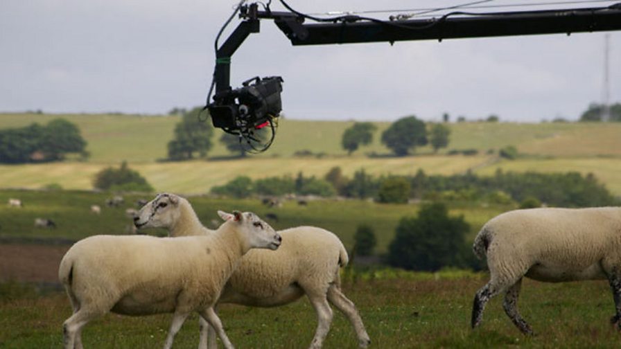BBC Two - One Man and His Dog, 2010, 2010 Series Exclusive: Doggie Cam