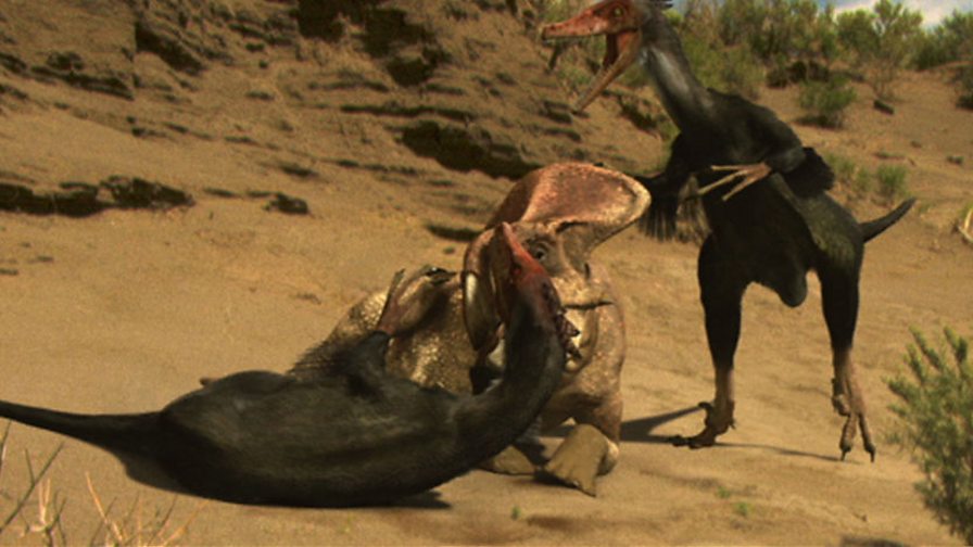 BBC One - The Truth About Killer Dinosaurs, Episode 2, Immortal combat