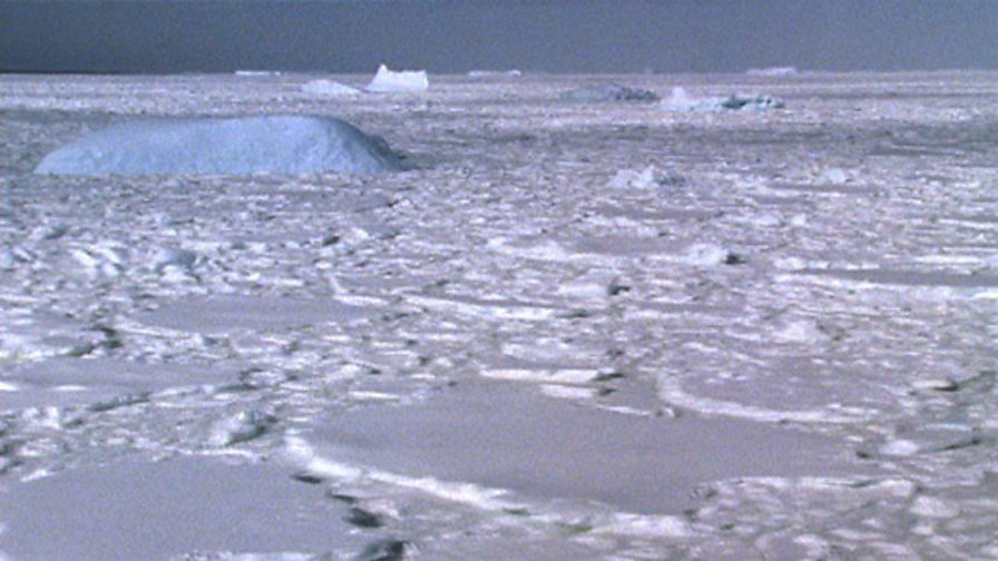 BBC One - The Blue Planet, Frozen Seas, Raising a family