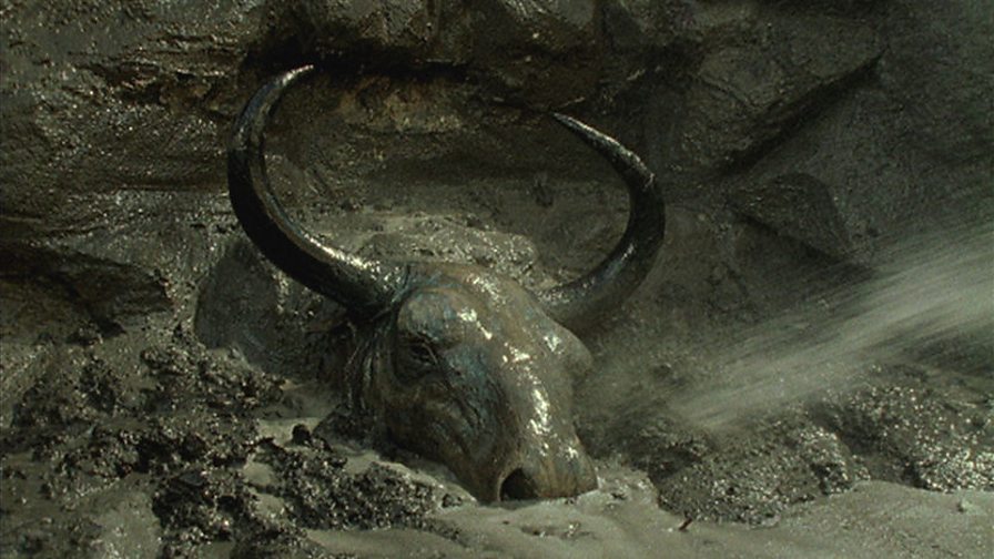 BBC Two - Wild New World